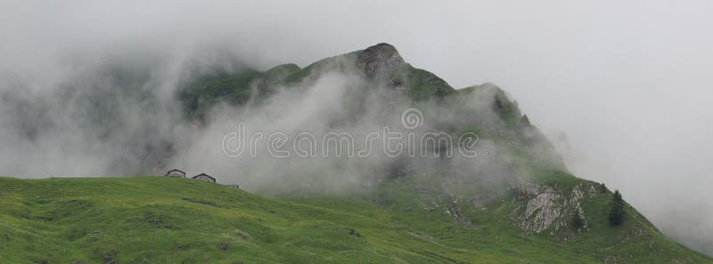Fog Creeping Over Green Mountain Meadows in the Swiss Alps Stock Photo ...