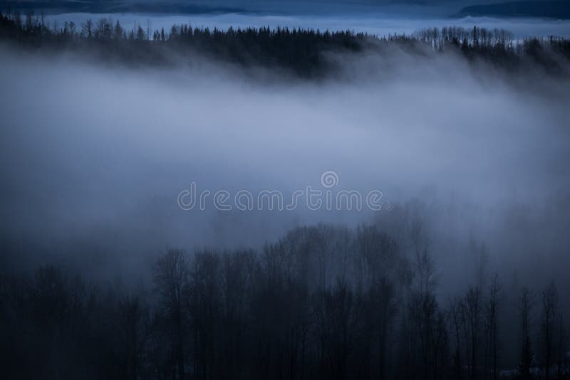 Fog Creeping - the Valley Bottom Stock Photo - Image of creeping, white ...