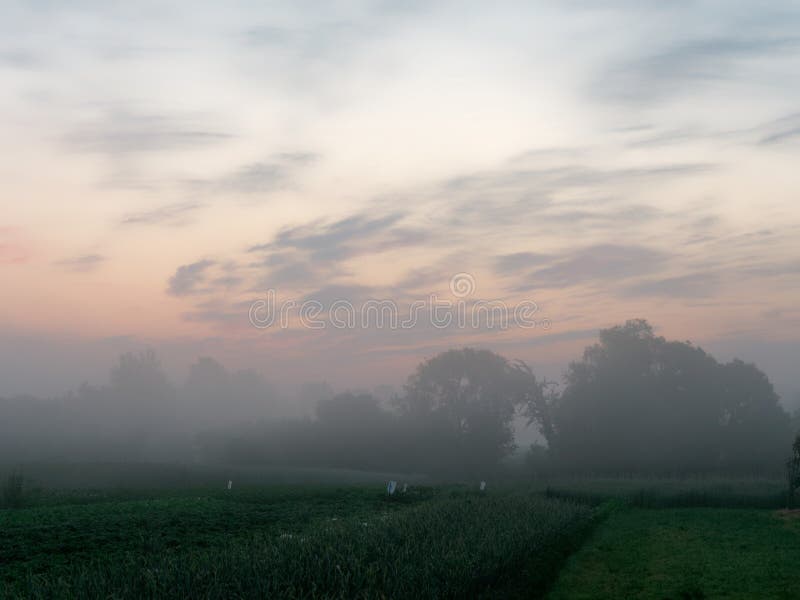 Fog at Dawn Over a Field of Farmland Stock Photo - Image of farming ...