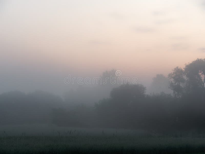 Fog at Dawn Over a Field of Farmland Stock Photo - Image of country ...