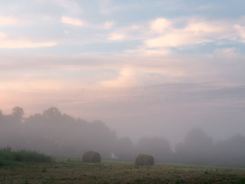 Fog at Dawn Over a Field of Farmland Stock Photo - Image of countryside ...