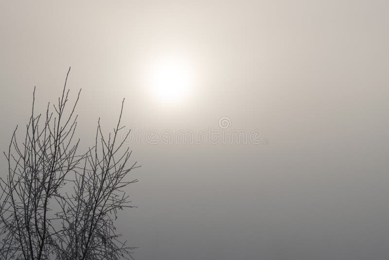 Fog Day Outside Window View Moody Sky Sun Winter Stock Photo - Image of ...
