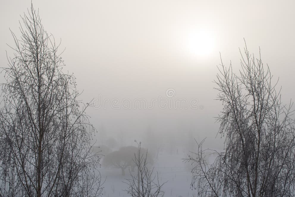 Fog Day Outside Window View Moody Sky Sun Winter Stock Photo - Image of ...