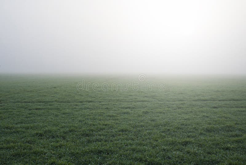 Fog and Dew in the Field Early Morning in Fall Stock Photo - Image of ...