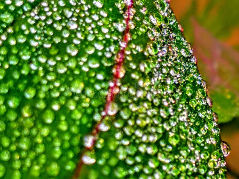 Fog Drop in Leap stock photo. Image of drop, bubble - 170656048