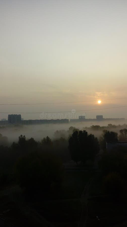 Fog stock photo. Image of early, dawn, morning, great - 102167516