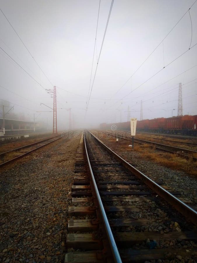Fog, evening, lines, stock photo. Image of line, transport - 195549000