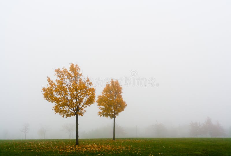 Fog and fall stock image. Image of calmness, autumn, moody - 18931599