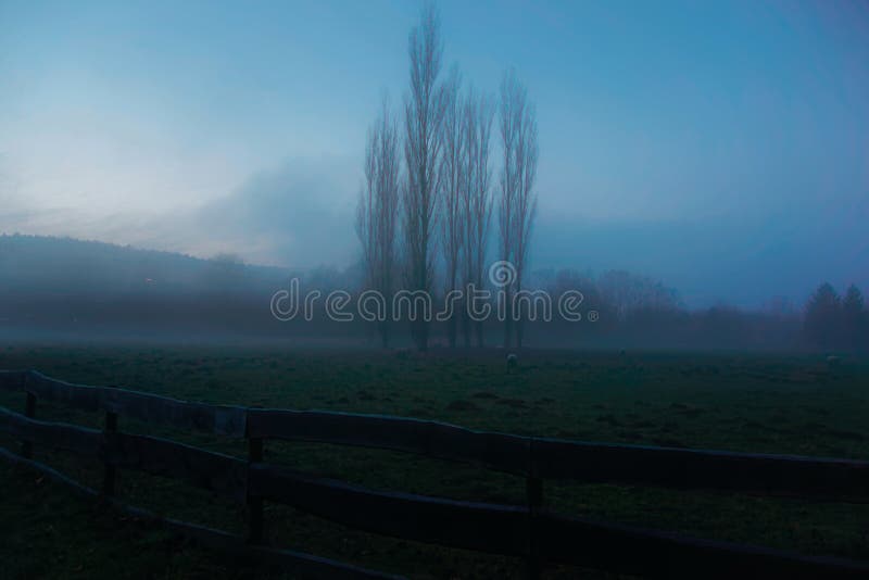 Fog in field stock photo. Image of typical, scenic, nature - 111842848