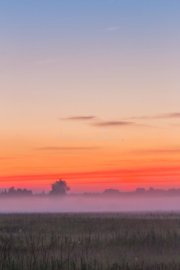 Fog in the Fields Landscape Field Early Morning Stock Image - Image of ...