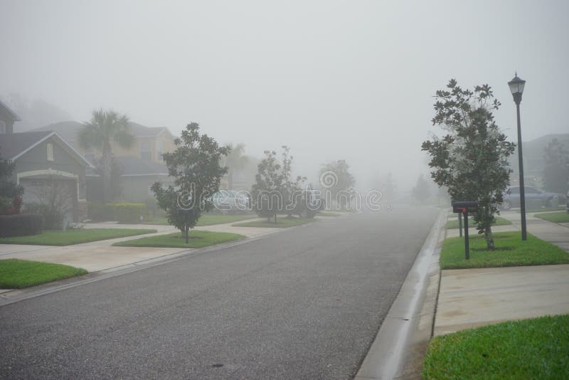 Fog in florida stock photo. Image of forest, morning - 84828890