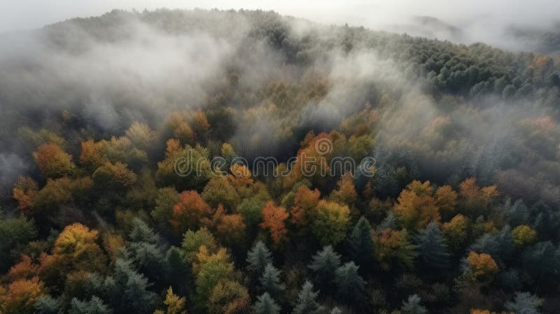 Fog in Forest Aerial View. Generative AI Stock Illustration ...