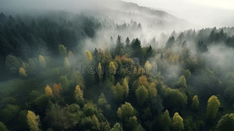 Fog in Forest Aerial View. Generative AI Stock Illustration ...