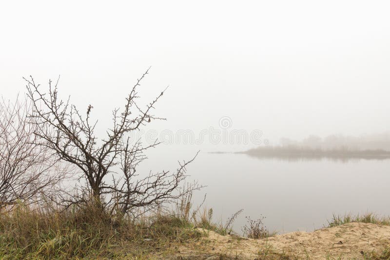Fog on Forest Lake in Early Spring Stock Image - Image of color, dawn ...