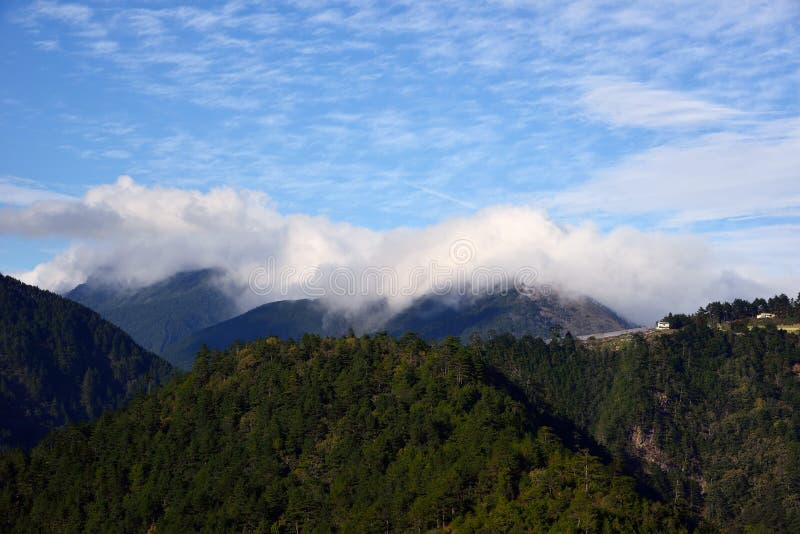 Fog in the Forest on Mount. Stock Image - Image of beautiful, mountain ...