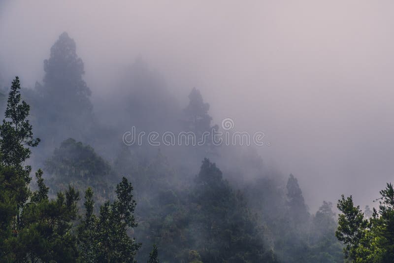 Trees and Clouds with Reflection North Woods of Wisconsin, USA Stock ...