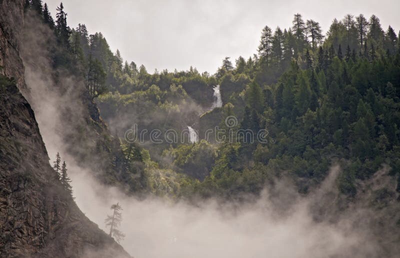 Fog in forrest stock photo. Image of nature, rainy, season - 33284180