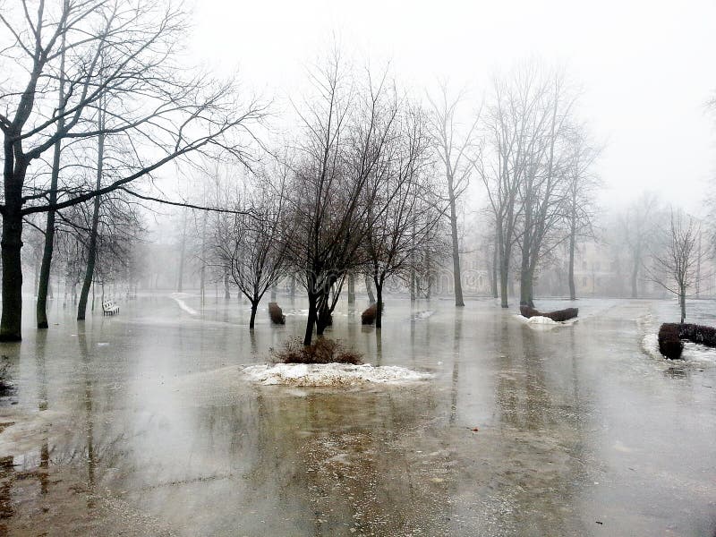 Fog stock photo. Image of landscape, tourism, garden - 50752752