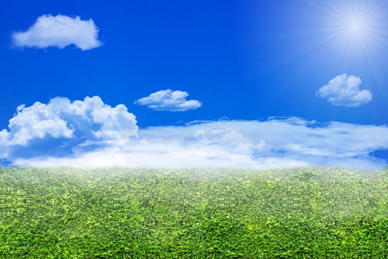 Fog on the Green Leaf and Coluds on the Clear Blue Sky Stock Photo ...