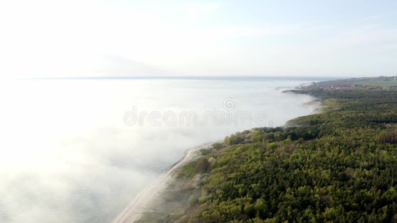 Fog Hitting Forest in Denmark Stock Footage - Video of denmark, water ...