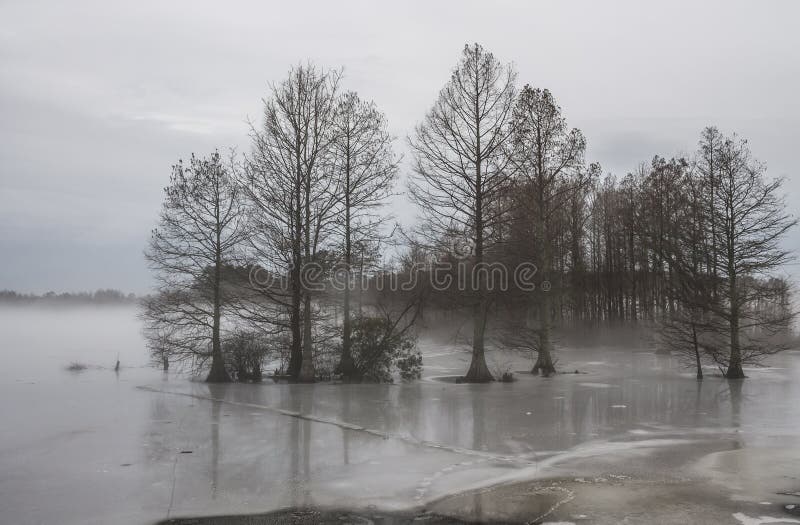 Fog and Ice at Stumpy Lake stock image. Image of scenery - 64578541