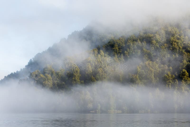 Fog on the Lake in the Morning Stock Photo - Image of tree, lake: 56721224