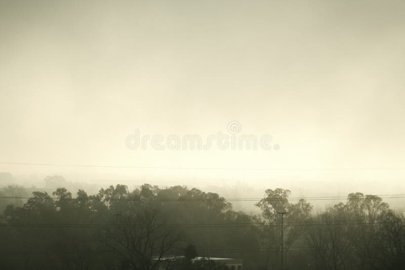 Fog layer above the trees stock photo. Image of cloudy - 234610270