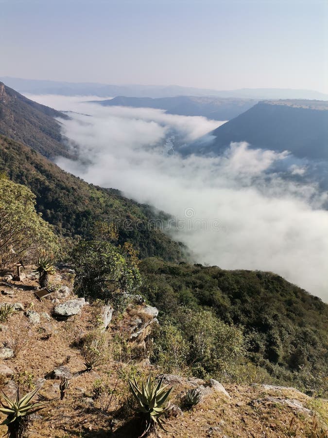 The fog at leopard rock stock image. Image of leopard - 256152841