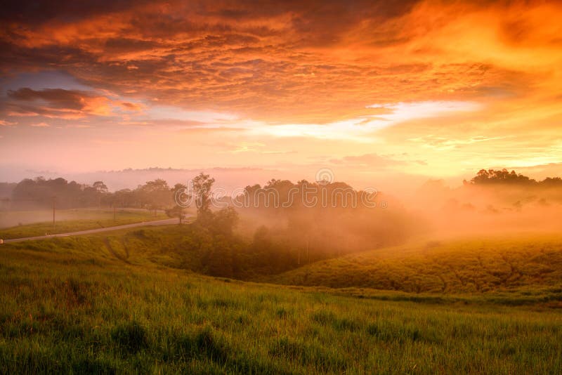 Fog and light stock image. Image of dawn, movement, countryside - 60183643