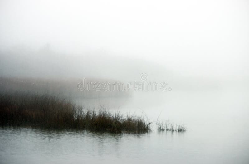Fog and mist stock image. Image of beauty, landscape - 91750789