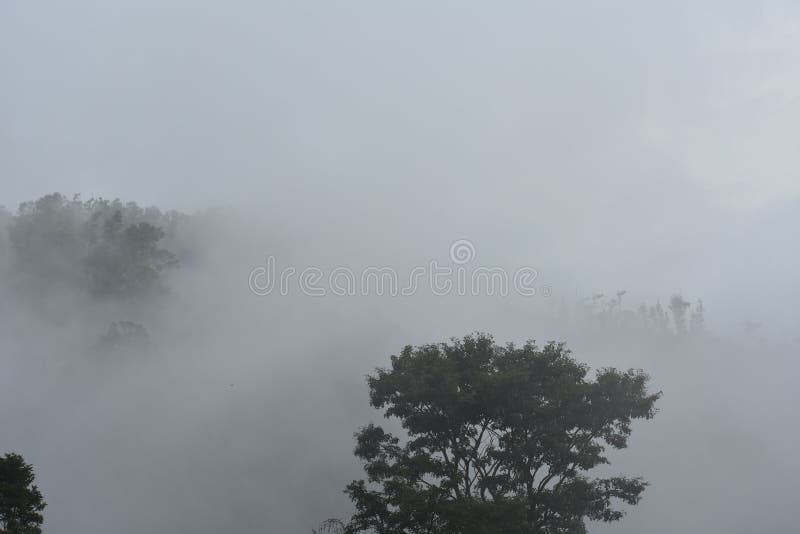 Fog, Mist, Sky, Cloud Picture. Image: 117885098