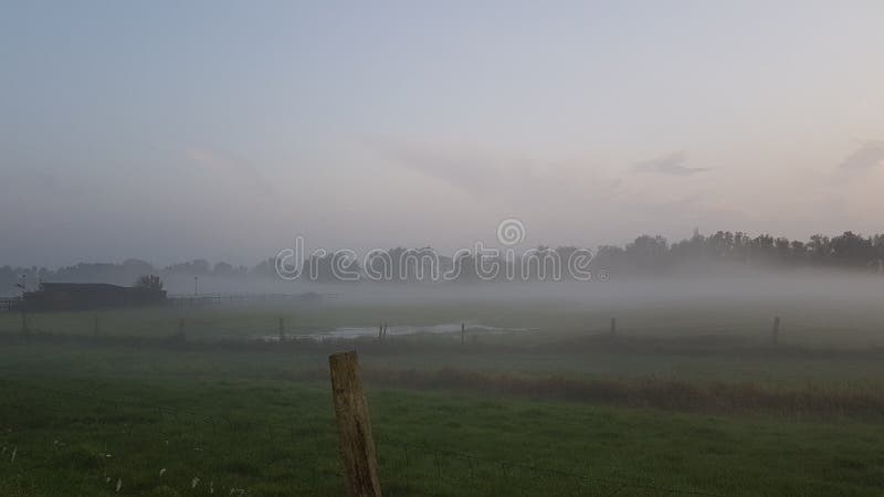 Fog, Mist, Sky, Morning stock photo. Image of pasture - 107977096