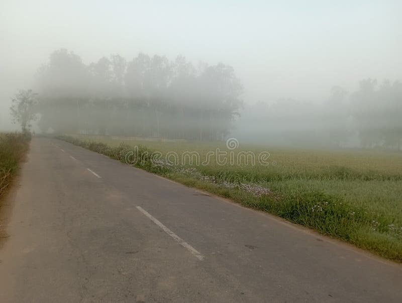 Fog morning road stock photo. Image of snow, plain, tree - 272023890