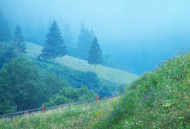 Fog in mountain stock image. Image of misty, season, beautiful - 54640583