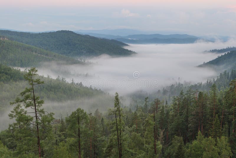 Fog in mountain wood. stock image. Image of plant, mountains - 38195643