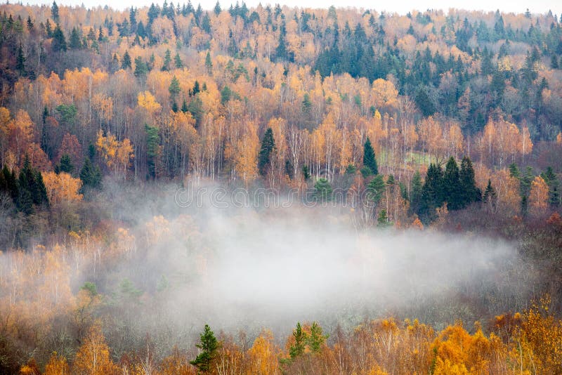 Fog Moving Above Forest in Autumn, Beautiful Nature Stock Image - Image ...