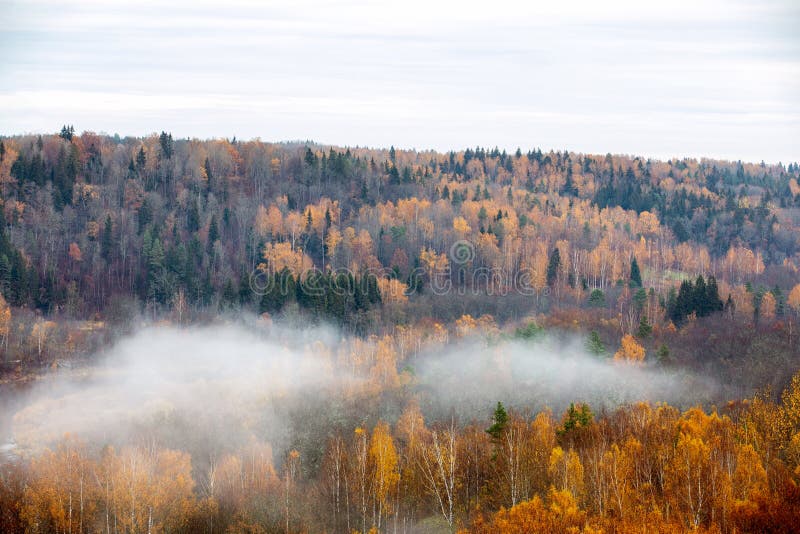 Fog Moving Above Forest in Autumn, Beautiful Nature Stock Image - Image ...