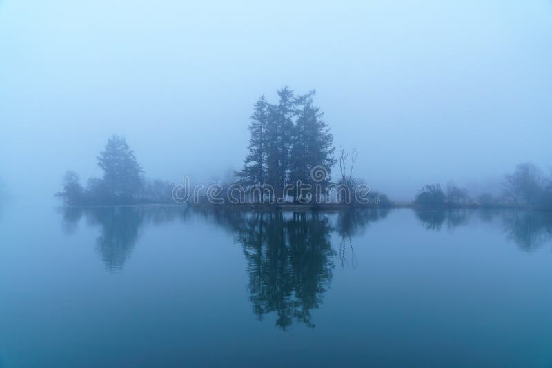 Fog at Mud Bay stock photo. Image of evergreen, gloomy - 91526484