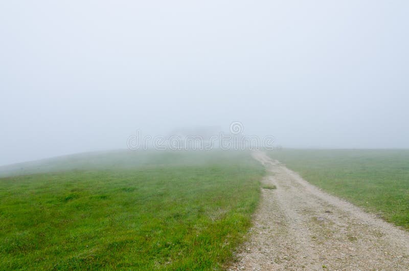 Fog in Newfoundland stock image. Image of mist, countryside - 190800871