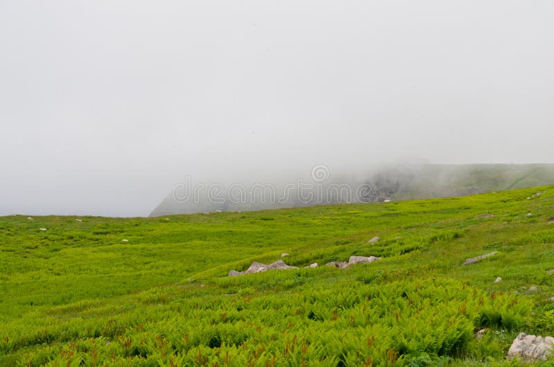 Fog in Newfoundland stock photo. Image of blue, horizon - 216036866