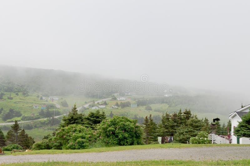 Fog in Newfoundland stock photo. Image of island, nature - 241054152