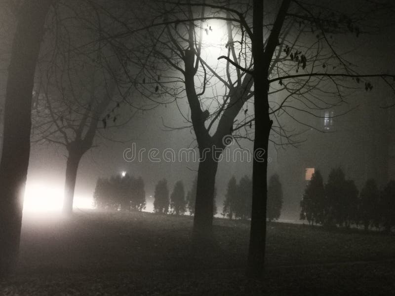 Fog and night stock photo. Image of blurry, light, park - 171056214