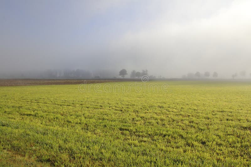 Fog Over Agricultural Land stock photo. Image of land - 78268428