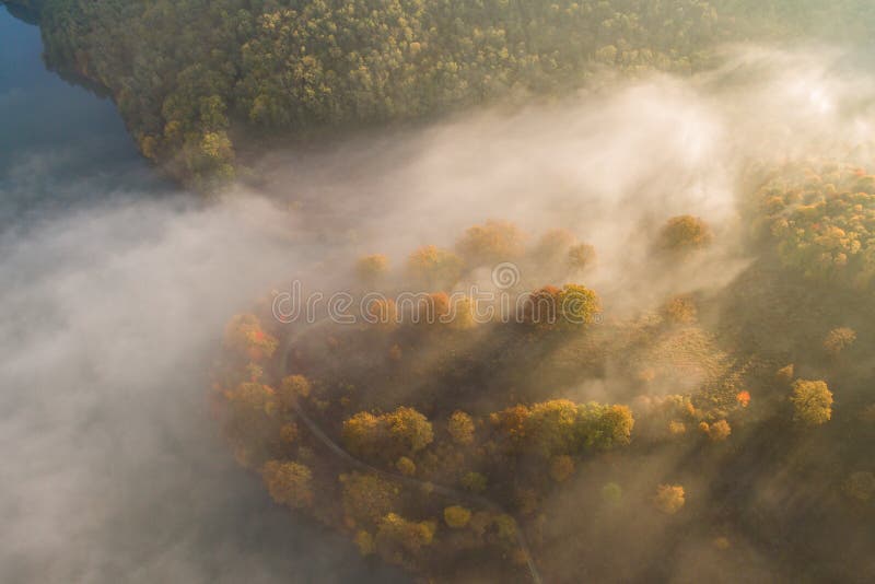 Fog over autumn trees stock image. Image of seasonal - 235129817