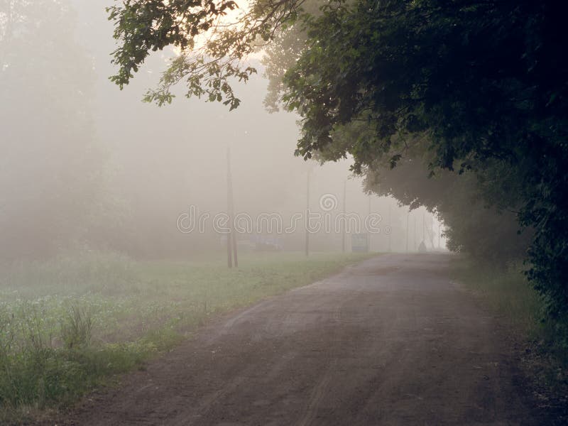 Fog Over Country Road at Sunrise in Summer Stock Image - Image of foggy ...