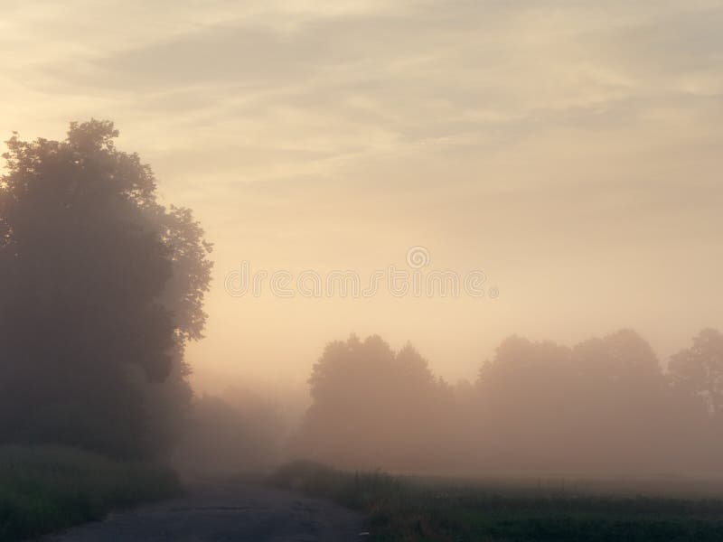 Fog Over Country Road at Sunrise in Summer Stock Image - Image of ...