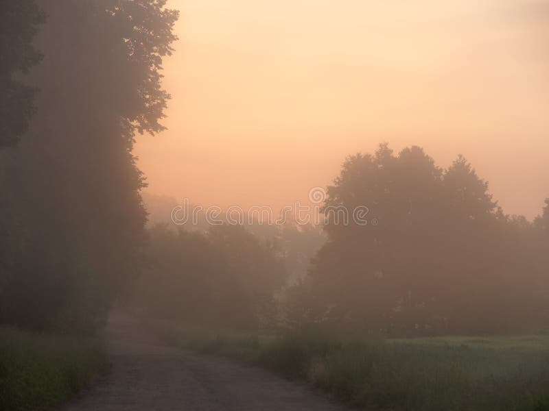 Fog Over Country Road at Sunrise in Summer Stock Image - Image of dawn ...