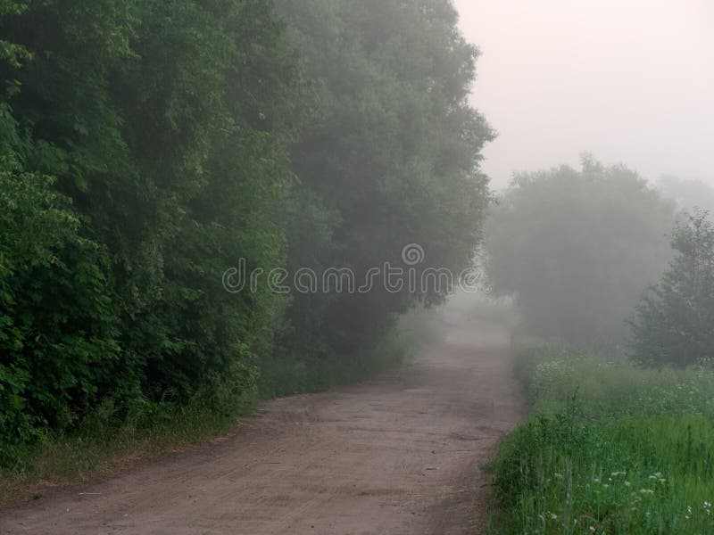 Fog Over Country Road at Sunrise in Summer Stock Image - Image of foggy ...