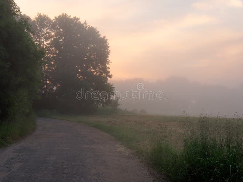 Fog Over Country Road at Sunrise in Summer Stock Photo - Image of ...