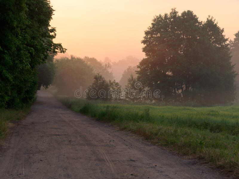 Fog Over Country Road at Sunrise in Summer Stock Image - Image of ...